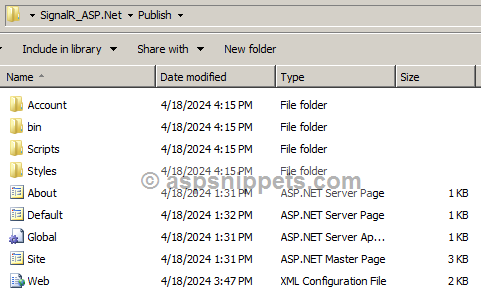 Publish web application in Visual Studio 2010