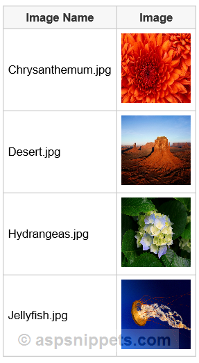 Web Api Return Multiple Images In Aspnet Mvc