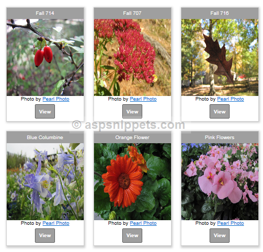 Load Images While Scrolling Page Down With Jquery Ajax In Aspnet